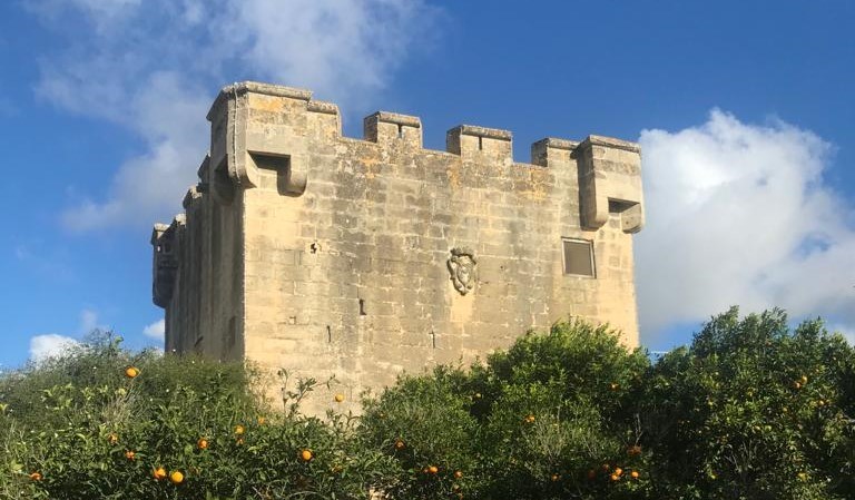 Caprarica, nel Castello baronale uno scrigno di tesori - Spazio Aperto ...