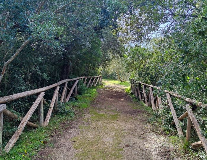 Bosco Cuturi, oasi naturalistica nel cuore del Salento - Spazio Aperto ...
